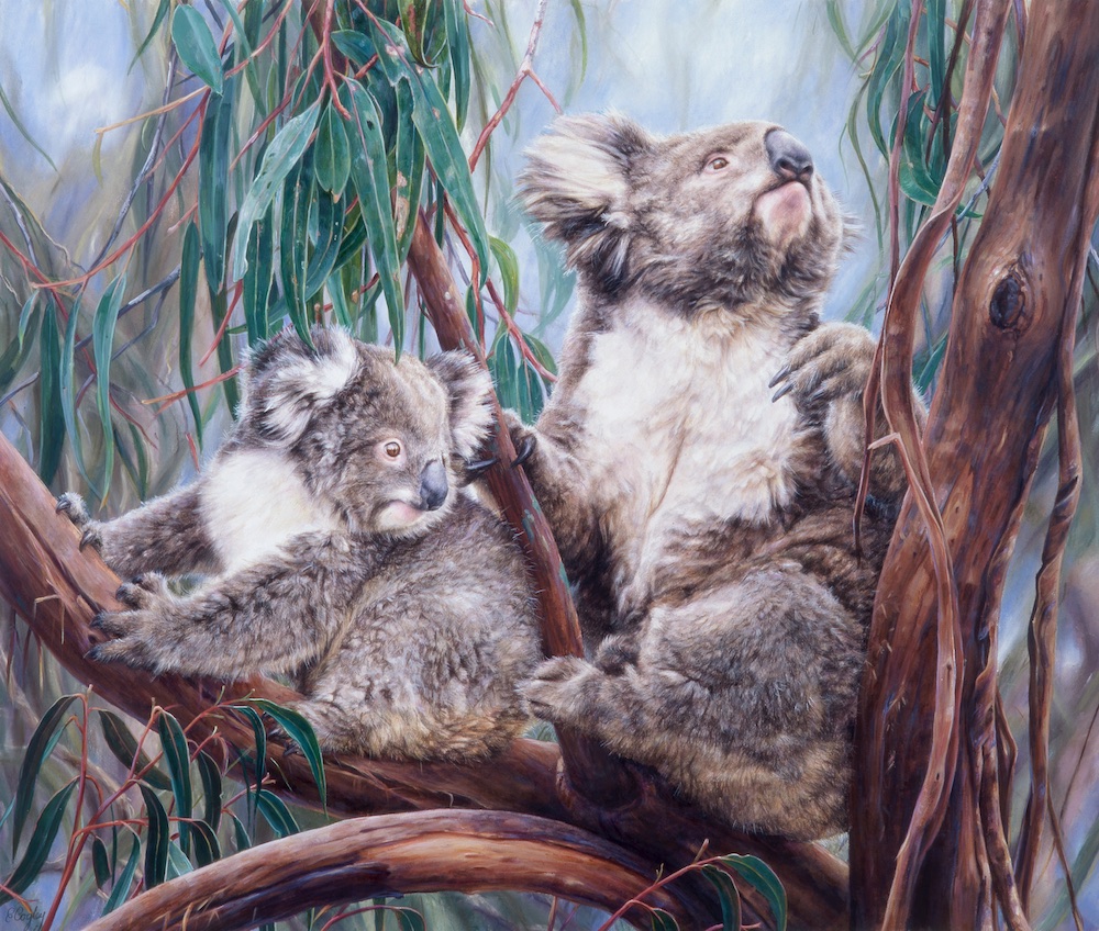 COGLEY Elizabeth - Living with Koalas