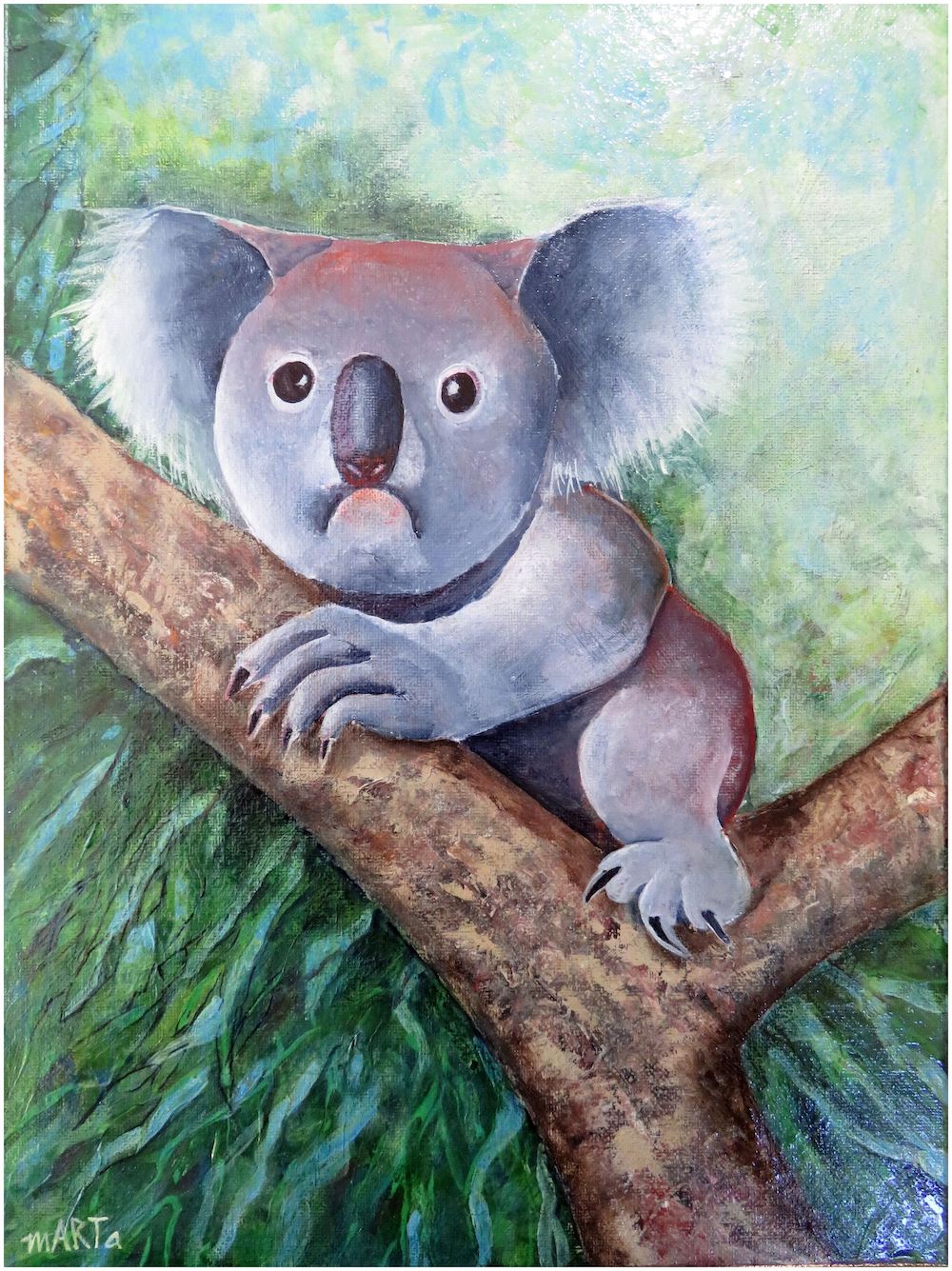 BLASZAK Marta - Living with Koalas